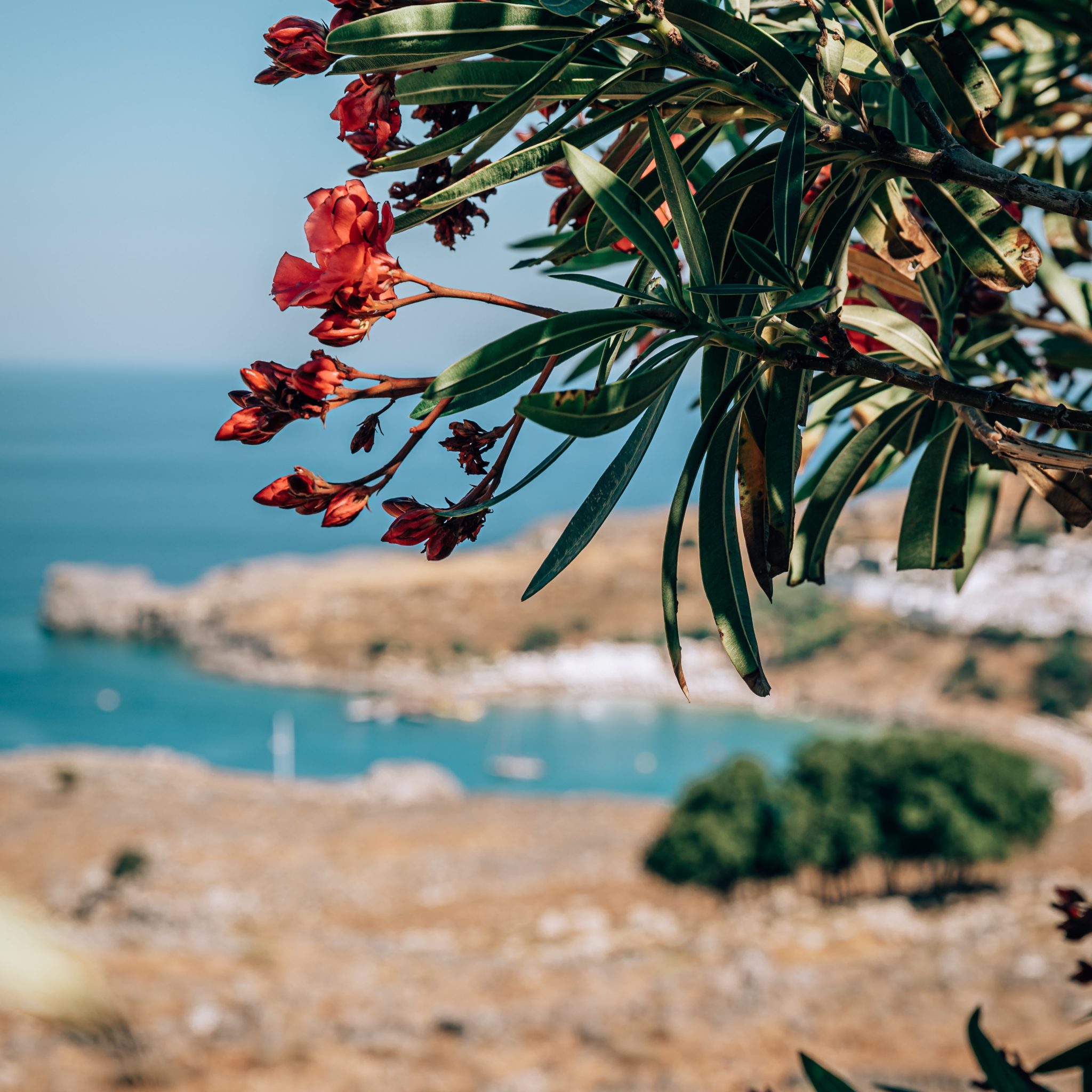 Piecas apskates vietas Rodā (Rodas salā) - TripThis